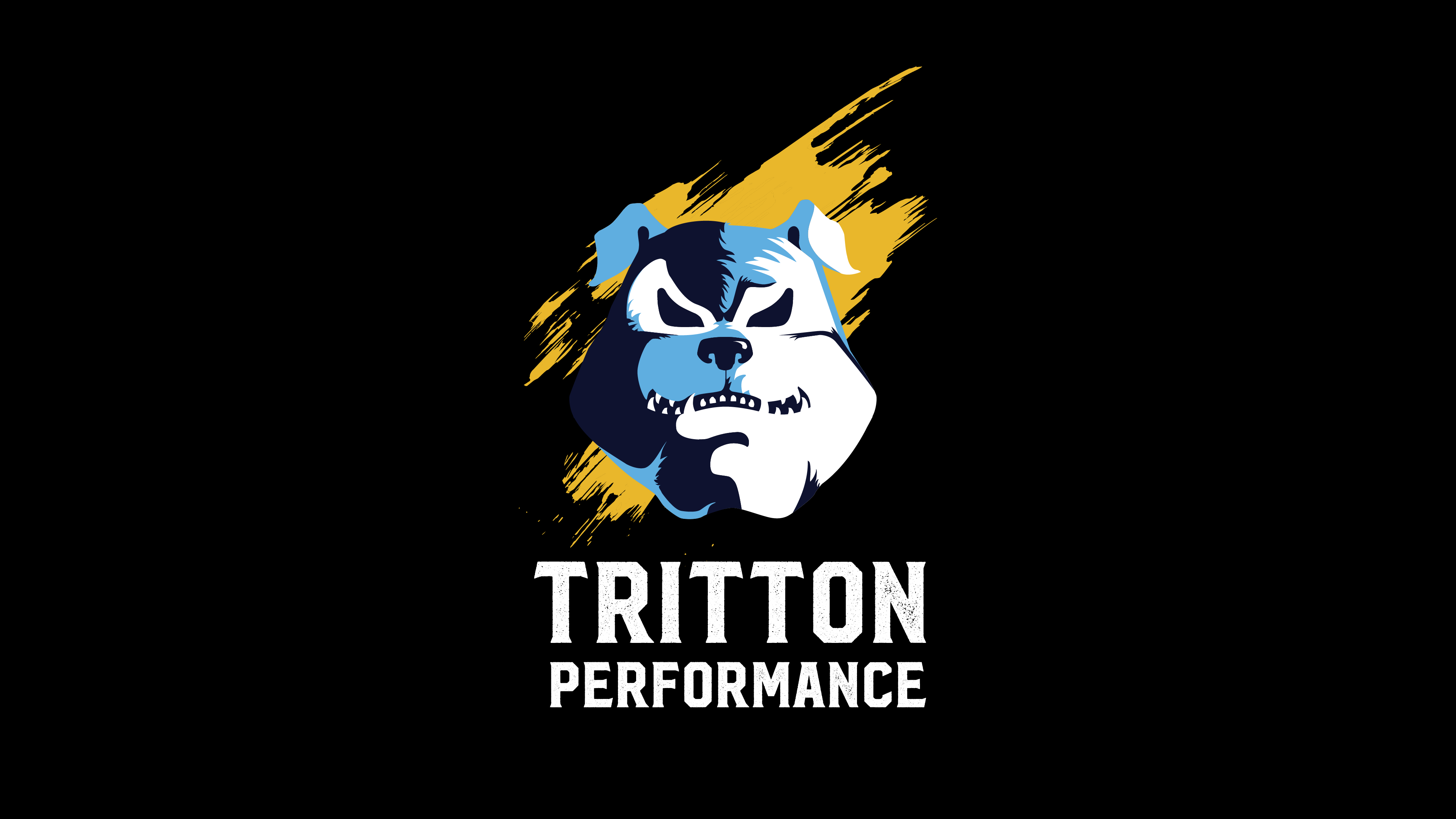 Montreal Judo, Muay Thai, Conditioning & More! — Tritton Performance